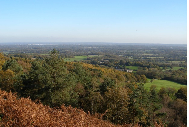 Surrey Hills | Chris Burnett Associates